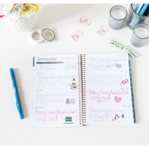 2022 Soft Cover Daily Planner & Calendar - Blue Crystal - Chapter One ...
